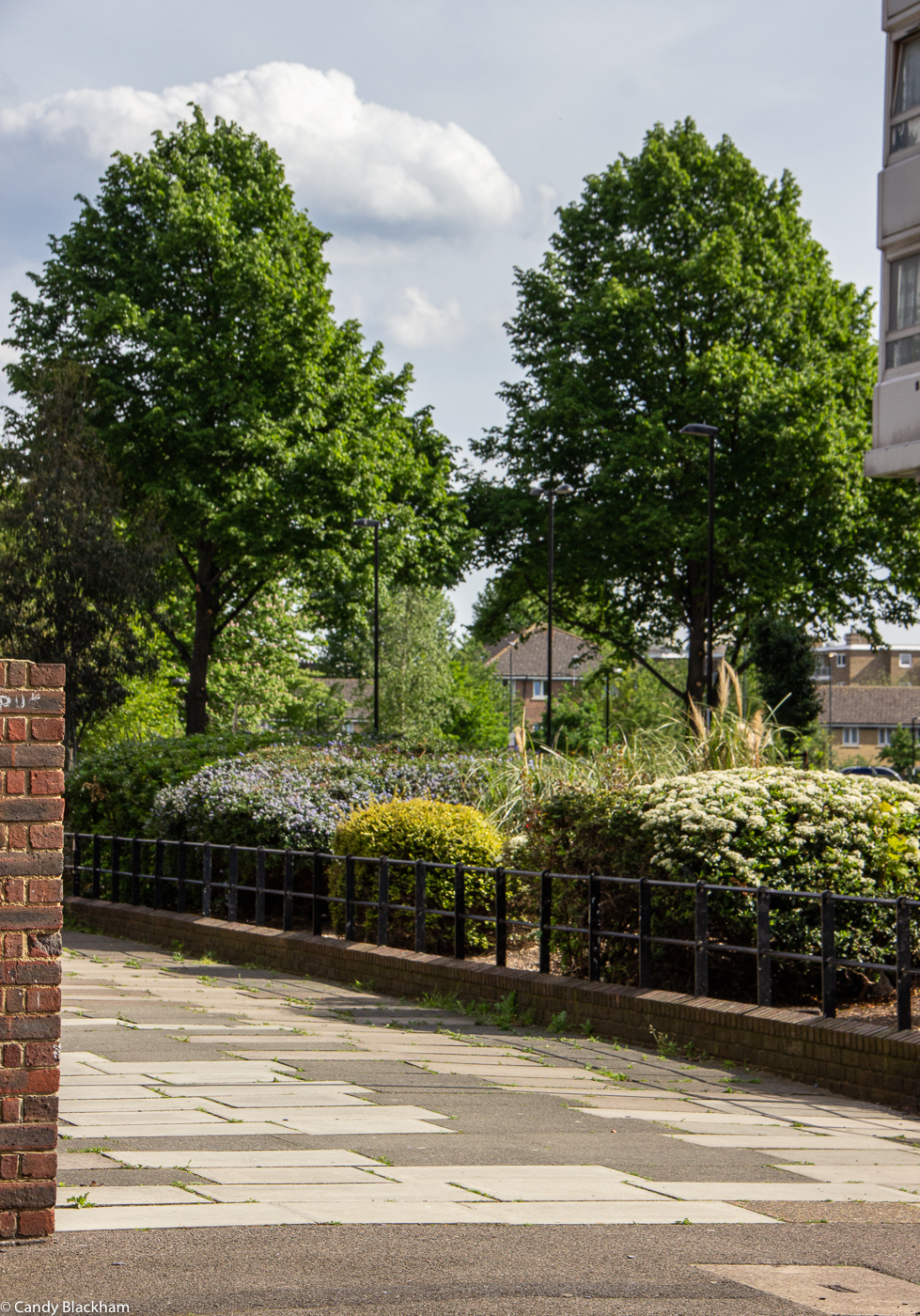 Pepys Parks continued - Enthusiastic Gardener