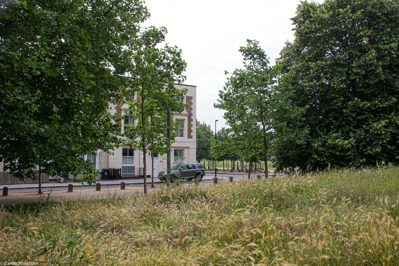 Fordham Park in New Cross | Enthusiastic Gardener
