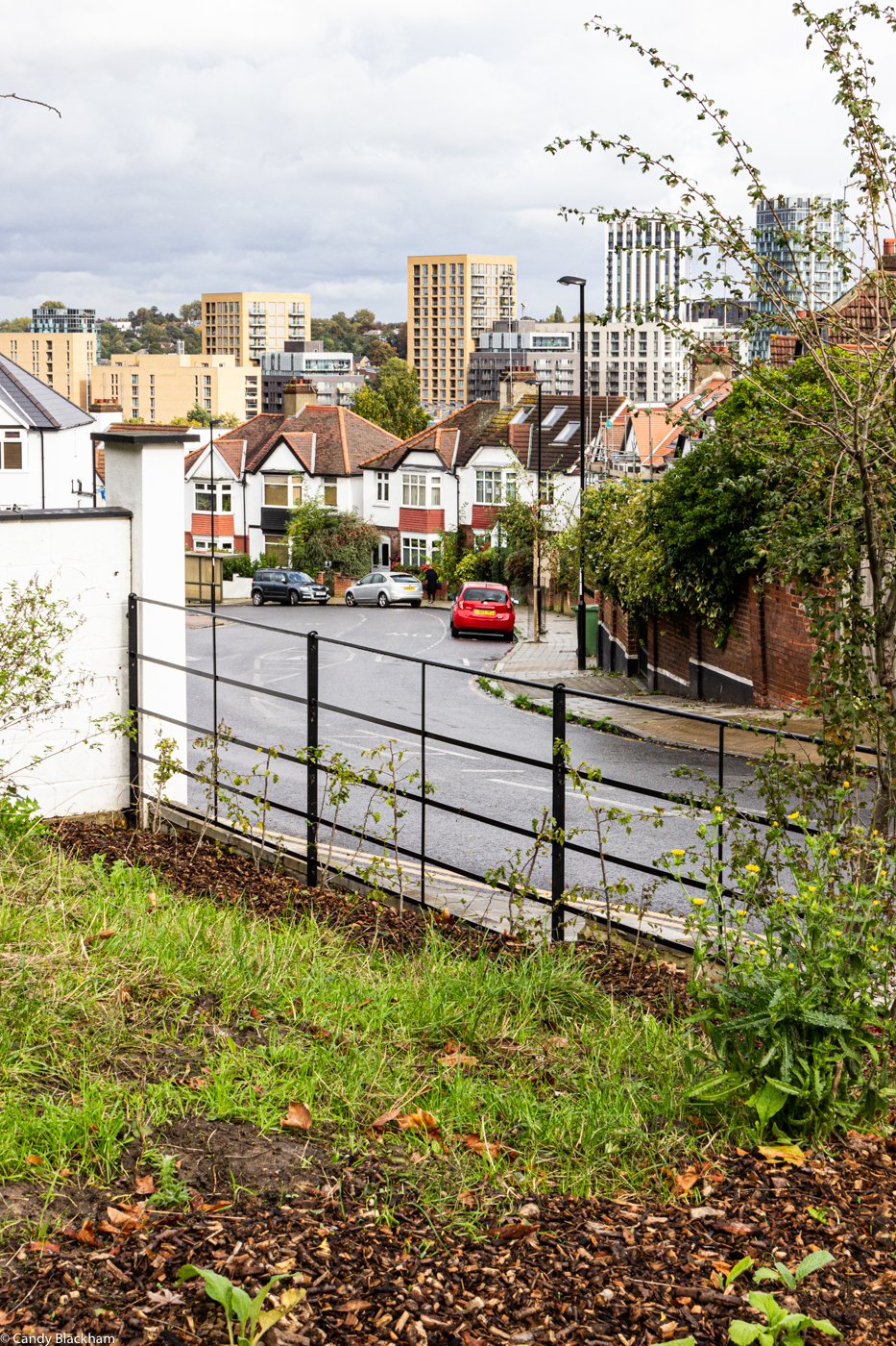 Hilly Fields in SE London - Enthusiastic Gardener