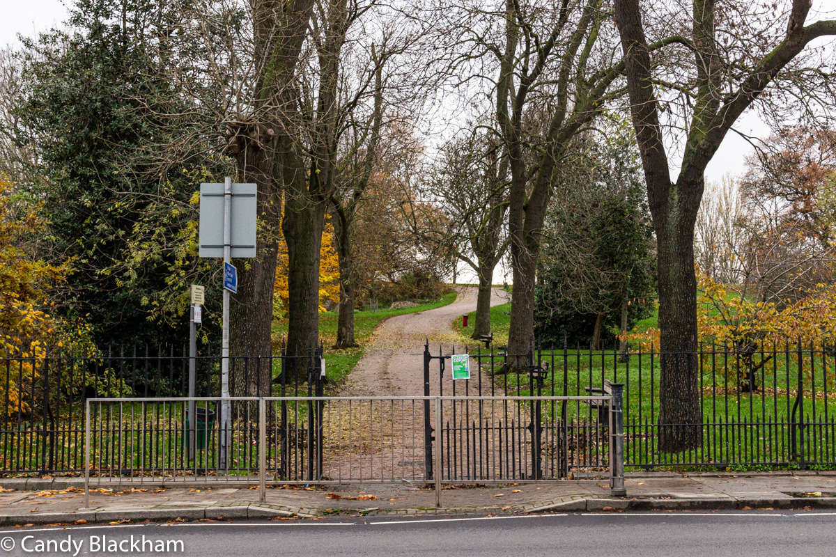 Mountsfield Park in Lewisham - Enthusiastic Gardener