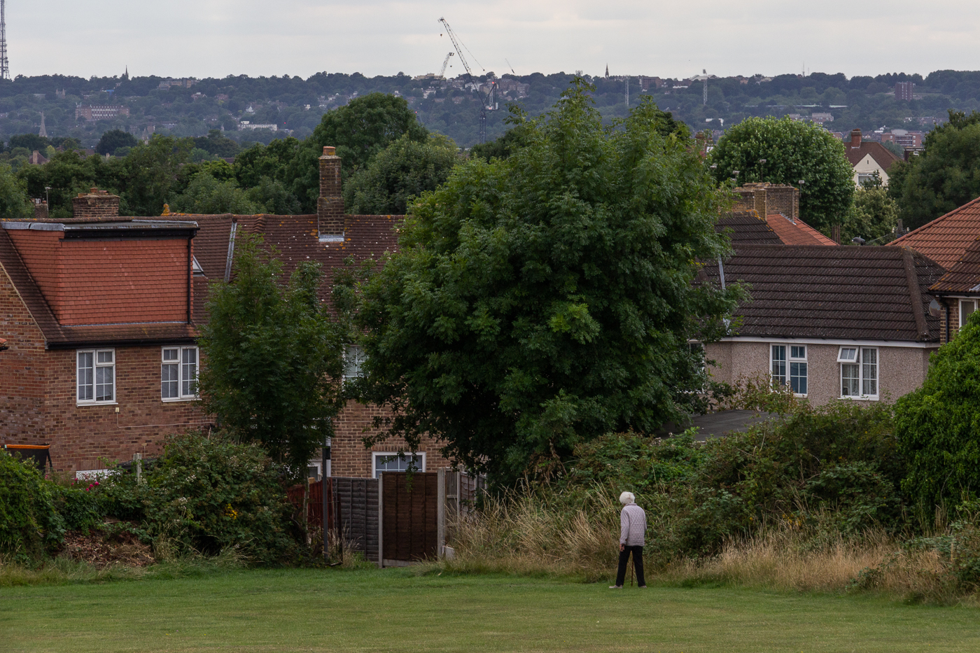 Downham Fields in SE London - Enthusiastic Gardener