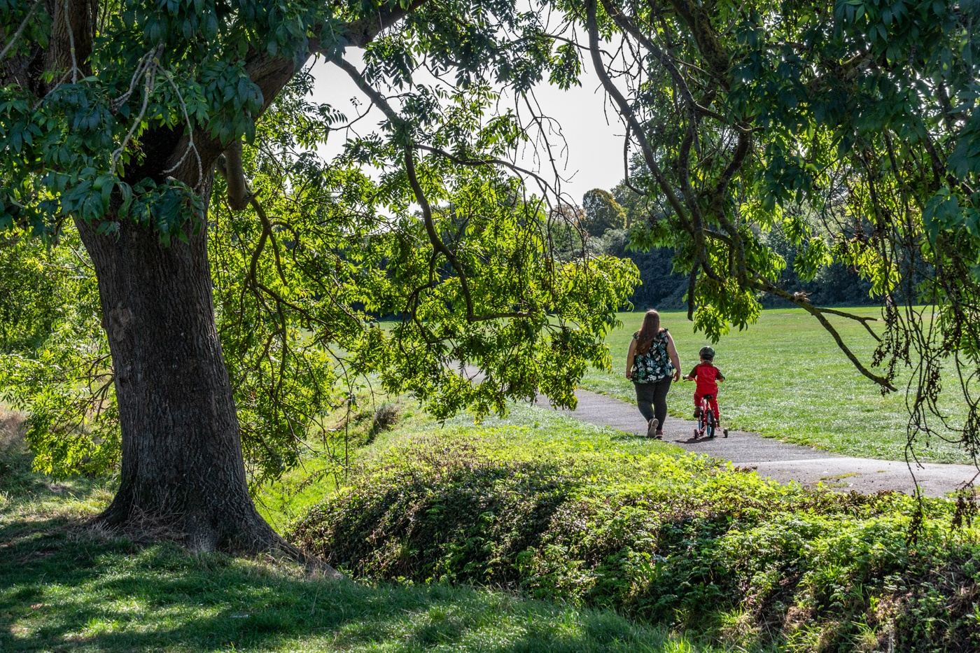 Downham in South East London | Enthusiastic Gardener