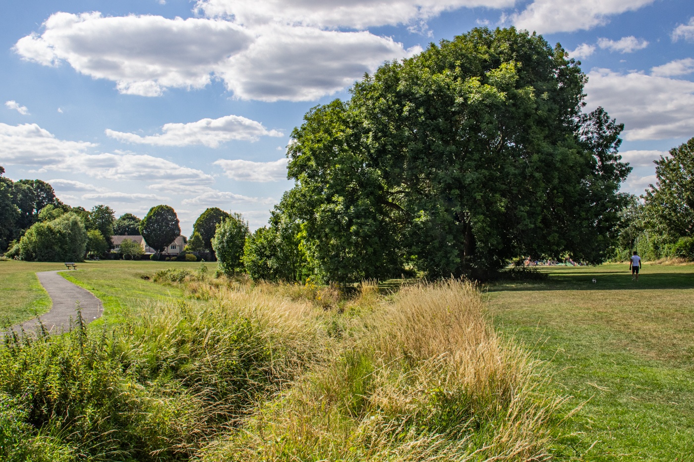 Downham in South East London | Enthusiastic Gardener