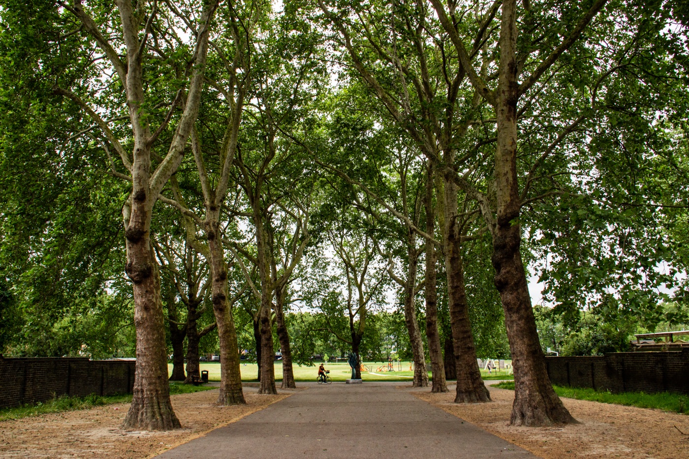 Deptford Park in SE London - Enthusiastic Gardener