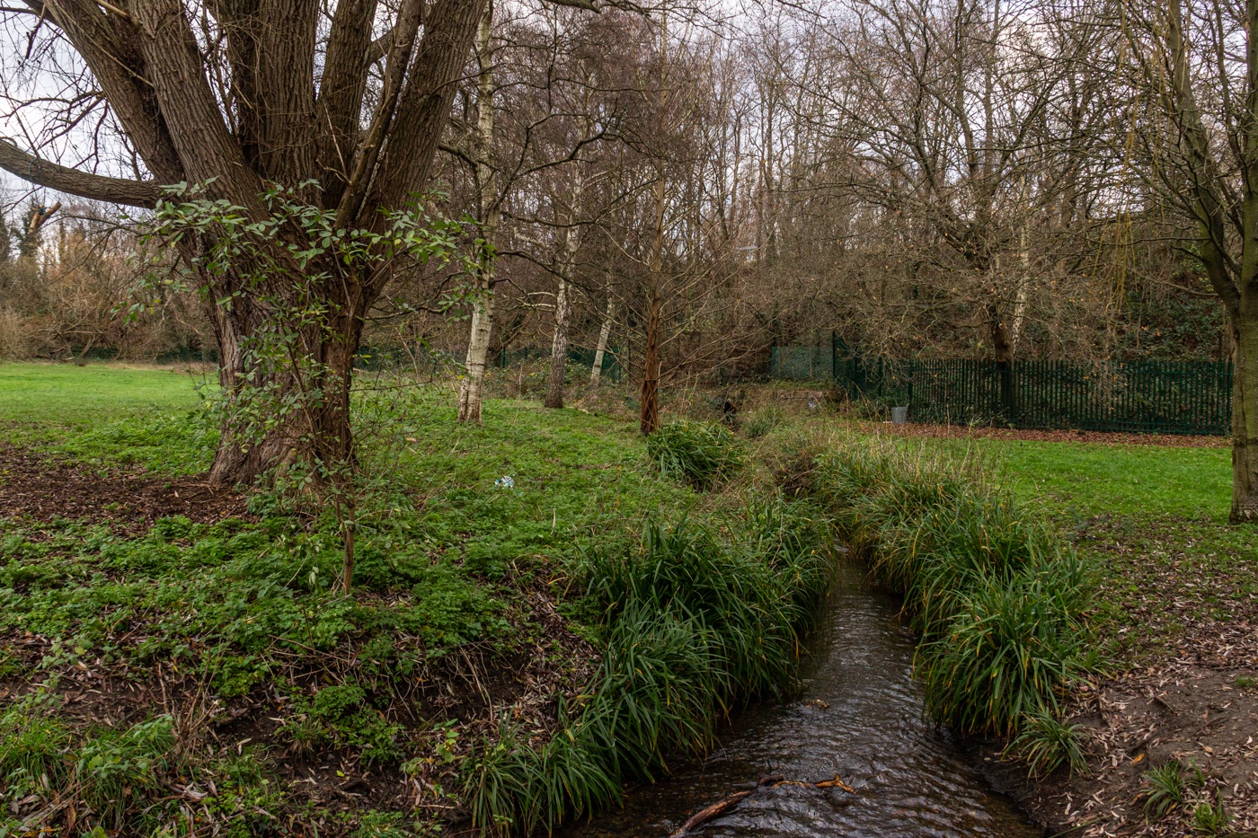 Chinbrook Meadows in Grove Park | Enthusiastic Gardener