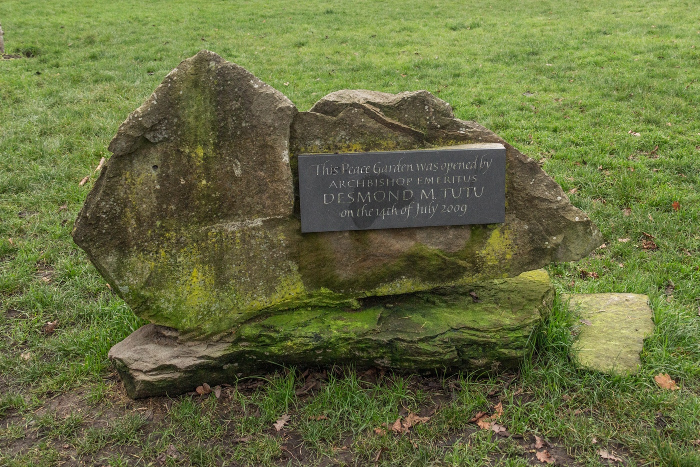 Chinbrook Meadows in Grove Park | Enthusiastic Gardener