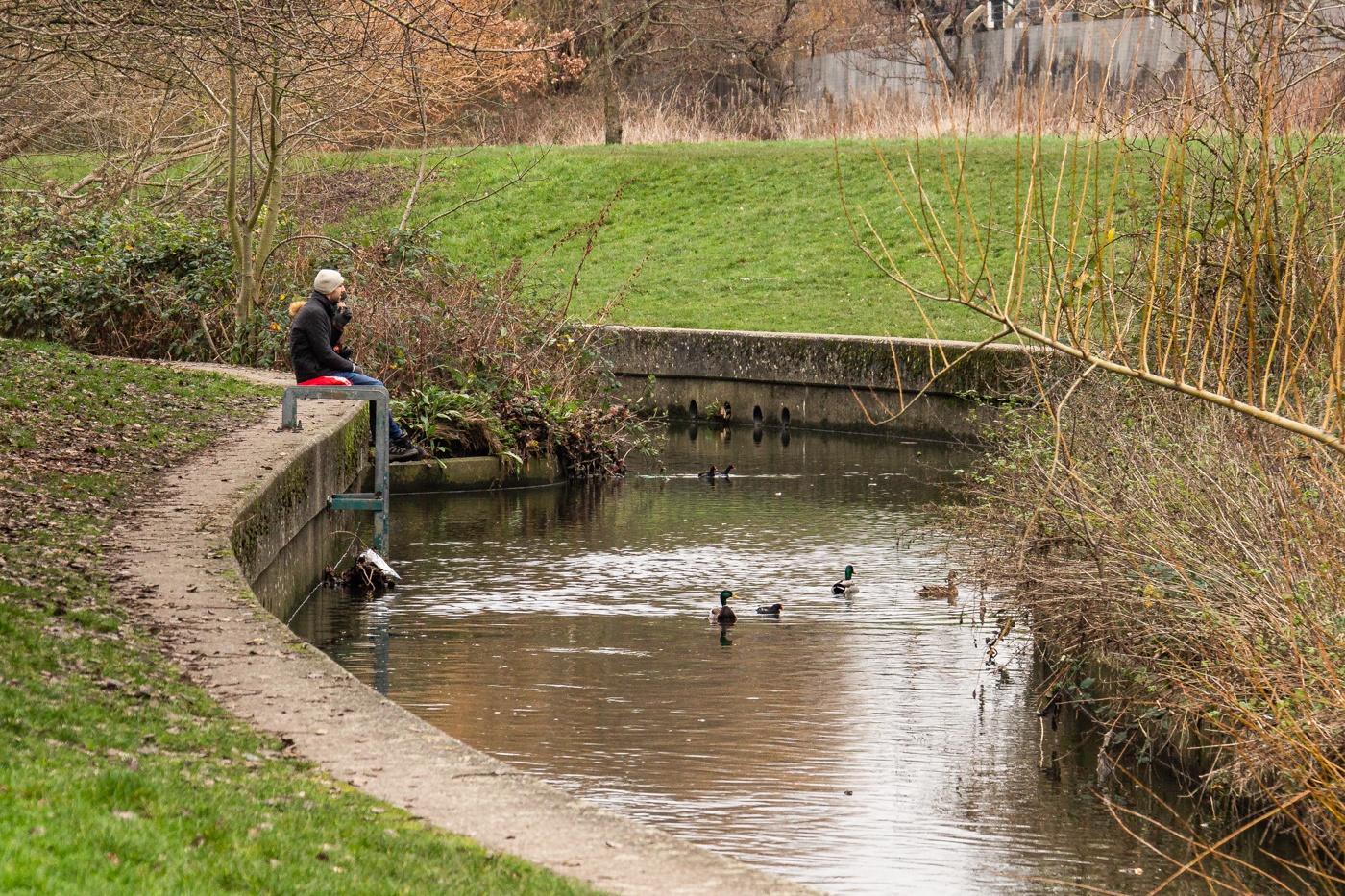 Riverview Walk in SE London - Enthusiastic Gardener