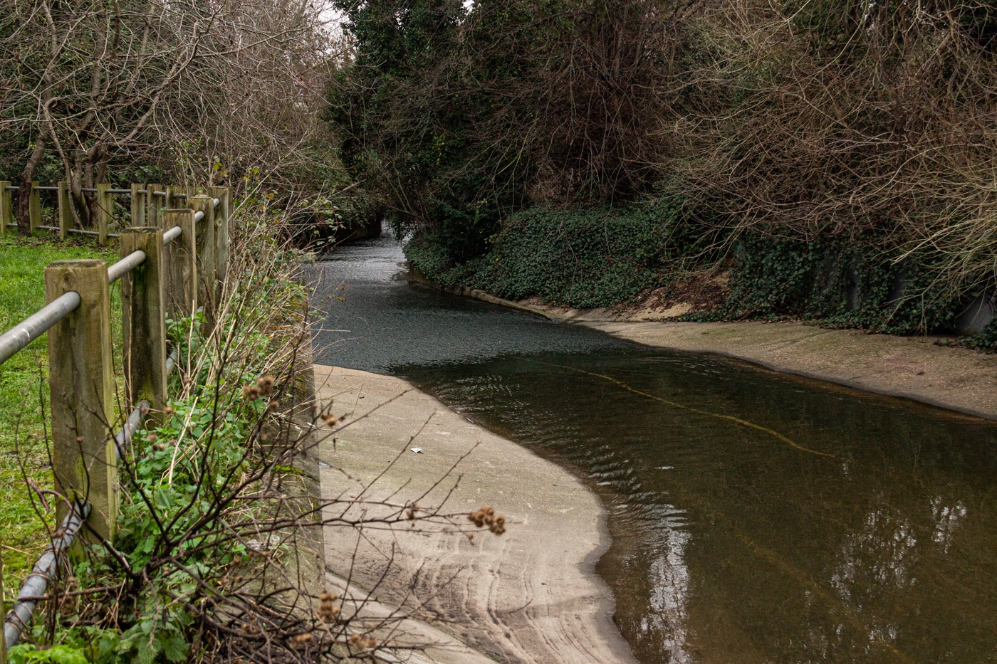 Riverview Walk in SE London | Enthusiastic Gardener