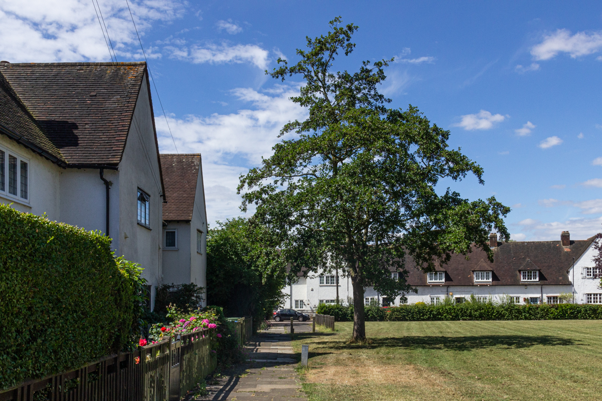 The Progress Estate - Enthusiastic Gardener